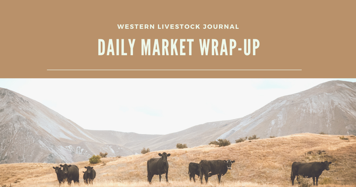 Market Wrap-Up: Tuesday, Sept. 2 | Western Livestock Journal