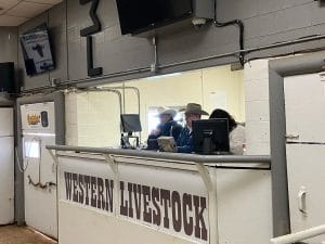 Jacobsen Ranch Sale Report: Great Falls, MT (December 2, 2024)