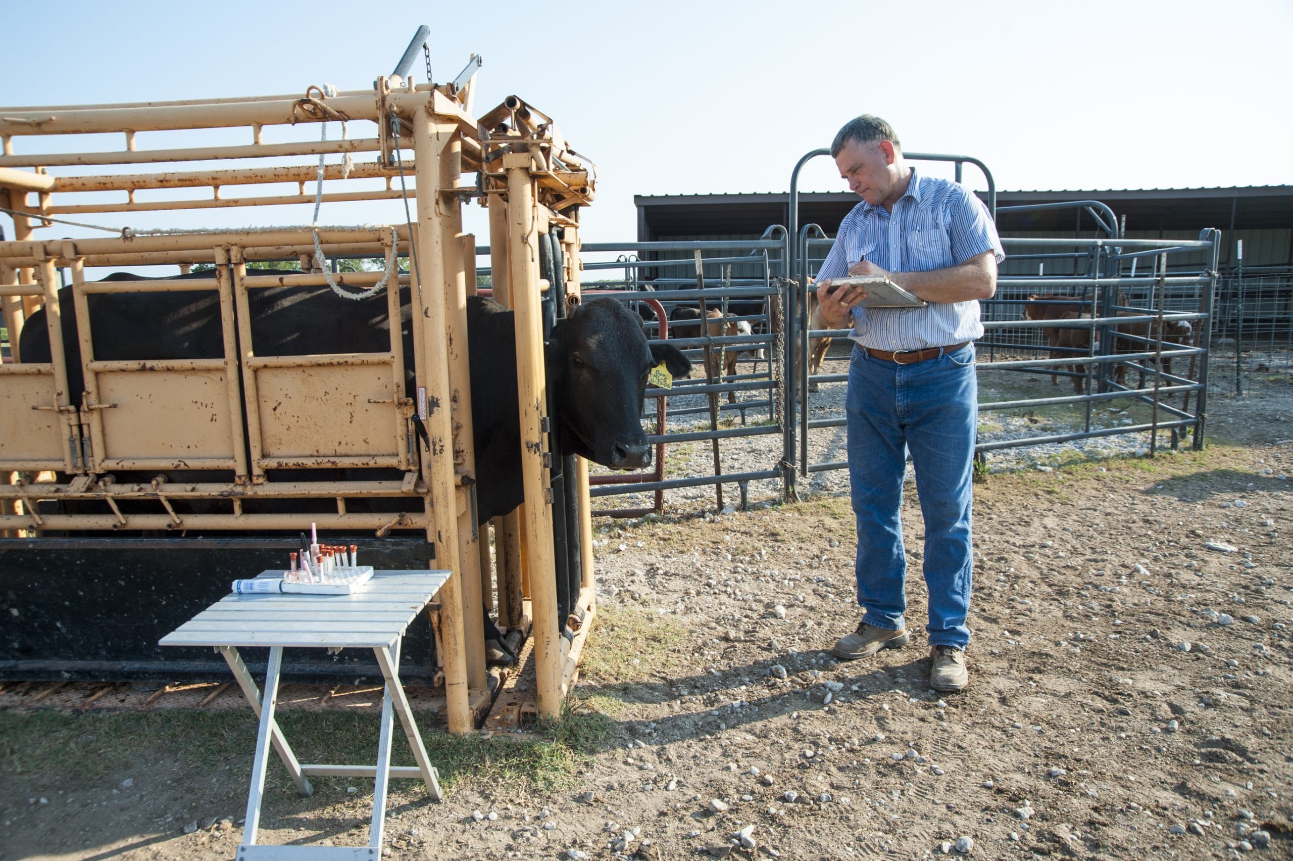 USDA launches rural veterinary action plan | Western Livestock Journal