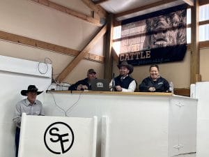 3C Cattle Co. Production Sale Report: Stevensville, MT (March 1, 2025)