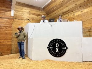 Ox Bow Ranch Bull Sale Report: Wolf Creek, MT (March 5, 2025)