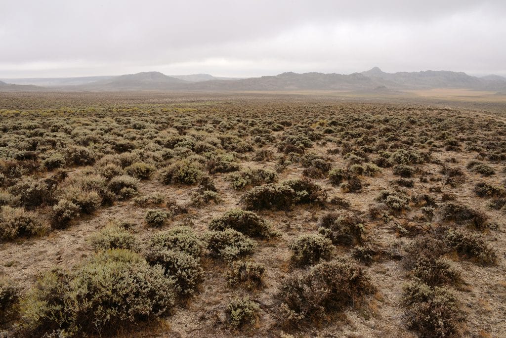 Hunters urge SCOTUS to reject corner-crossing appeal | Western ...