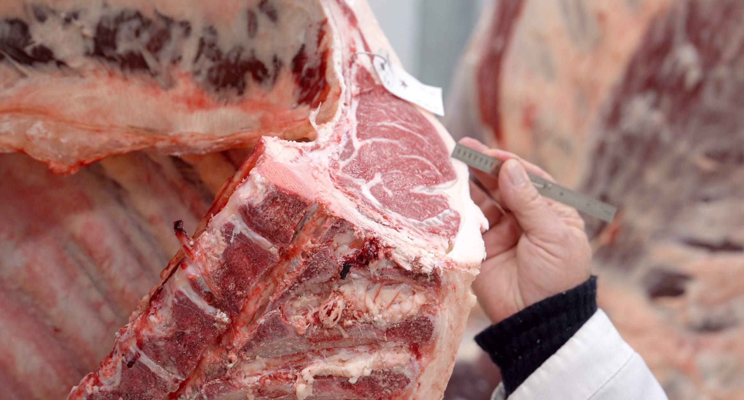 EU recalls Brazilian beef for banned hormones | Western Livestock Journal