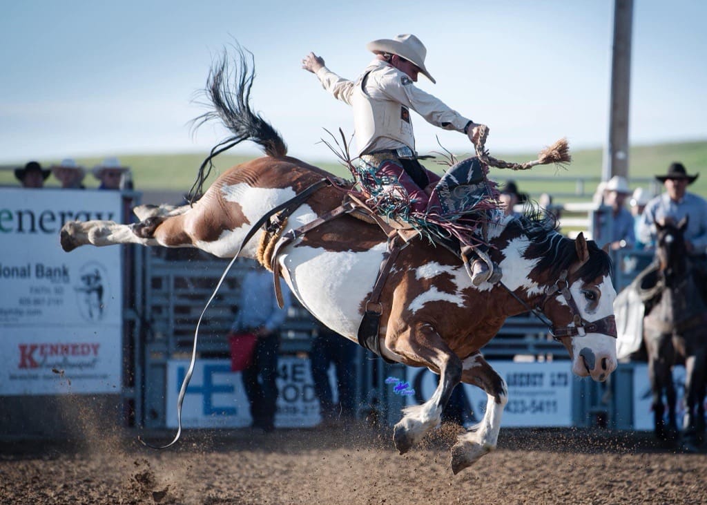 The Viewpoint with Cole Elshere | Western Livestock Journal