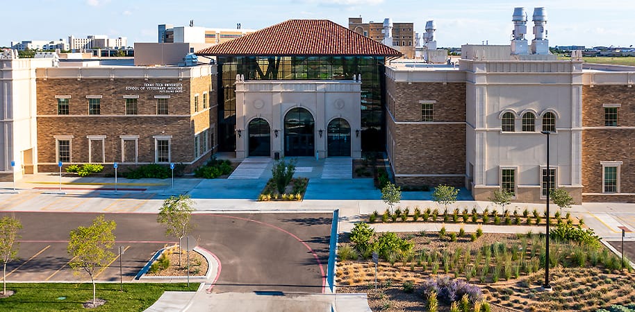 Texas Tech launching food animal residency | Western Livestock Journal