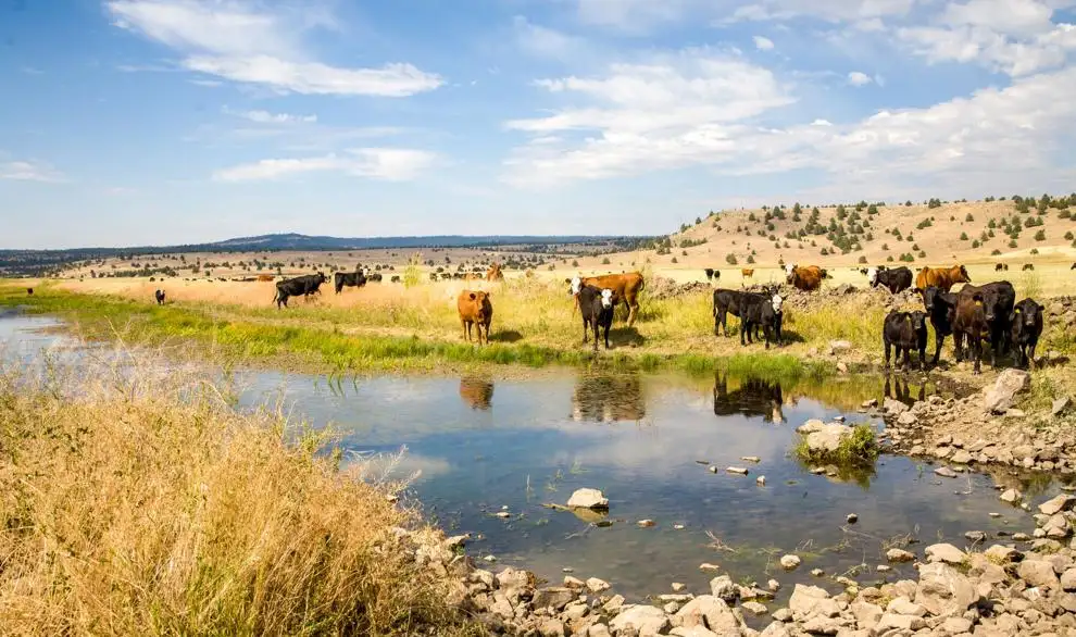 NRCS Oregon announces CSP funding | Western Livestock Journal