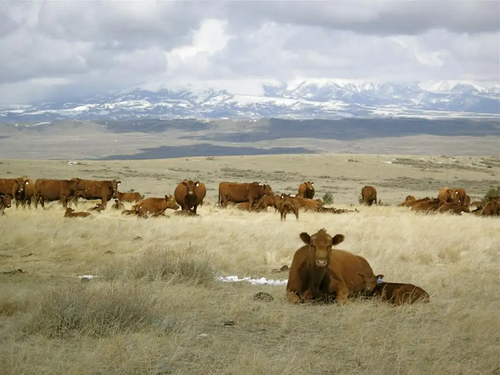 USFS authorizes controversial Crazy Mountains land swap | Western ...