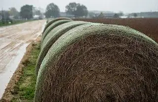 Estimating winter hay needs | Western Livestock Journal