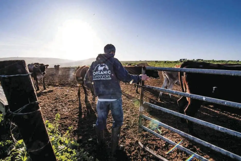 USDA offers loans for beginning farmers | Western Livestock Journal